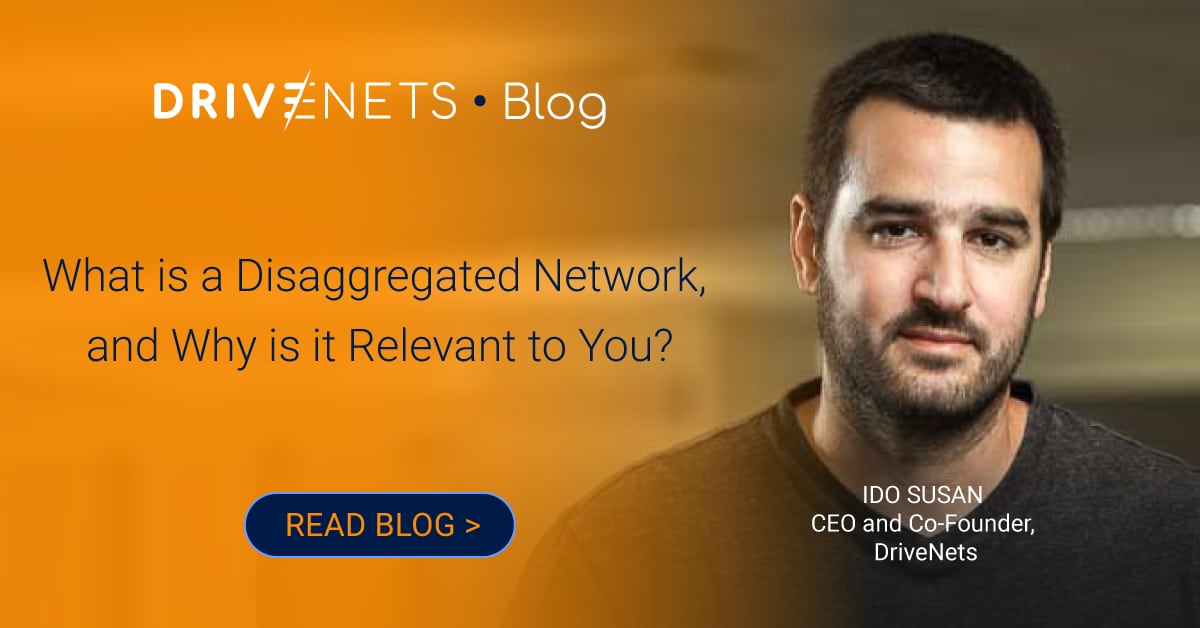 Understanding Disaggregated Networks: Benefits and Relevance