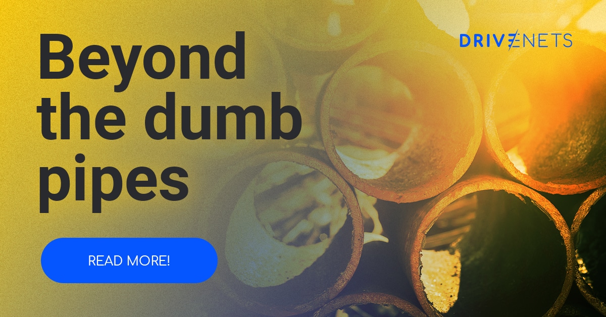 Enhancing Network Functionality Beyond a Dumb Pipe