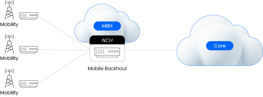Service Provider Routing | DriveNets